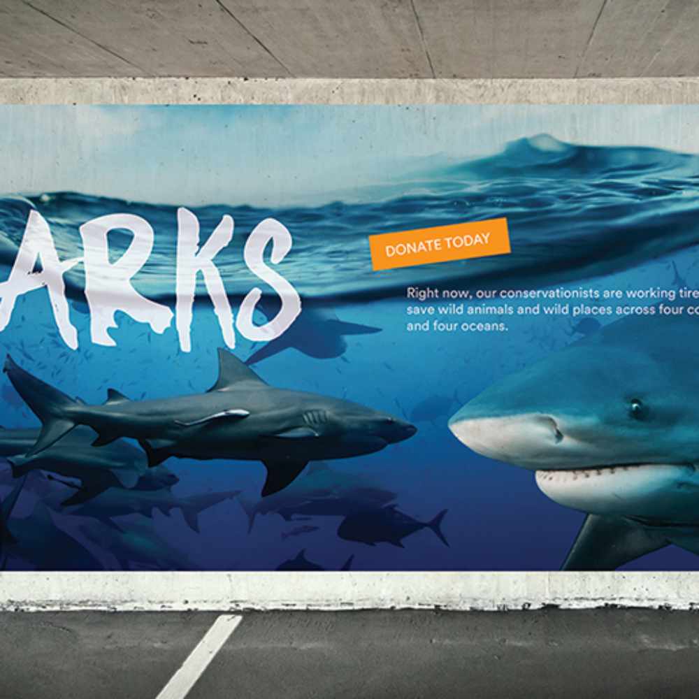 Digital Print Specialty Vinyl | Printable chrome, Printable Whiteboard ...